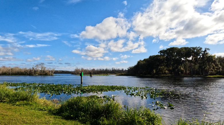 Florida's rustic state park is an island escape with trails, fishing ...