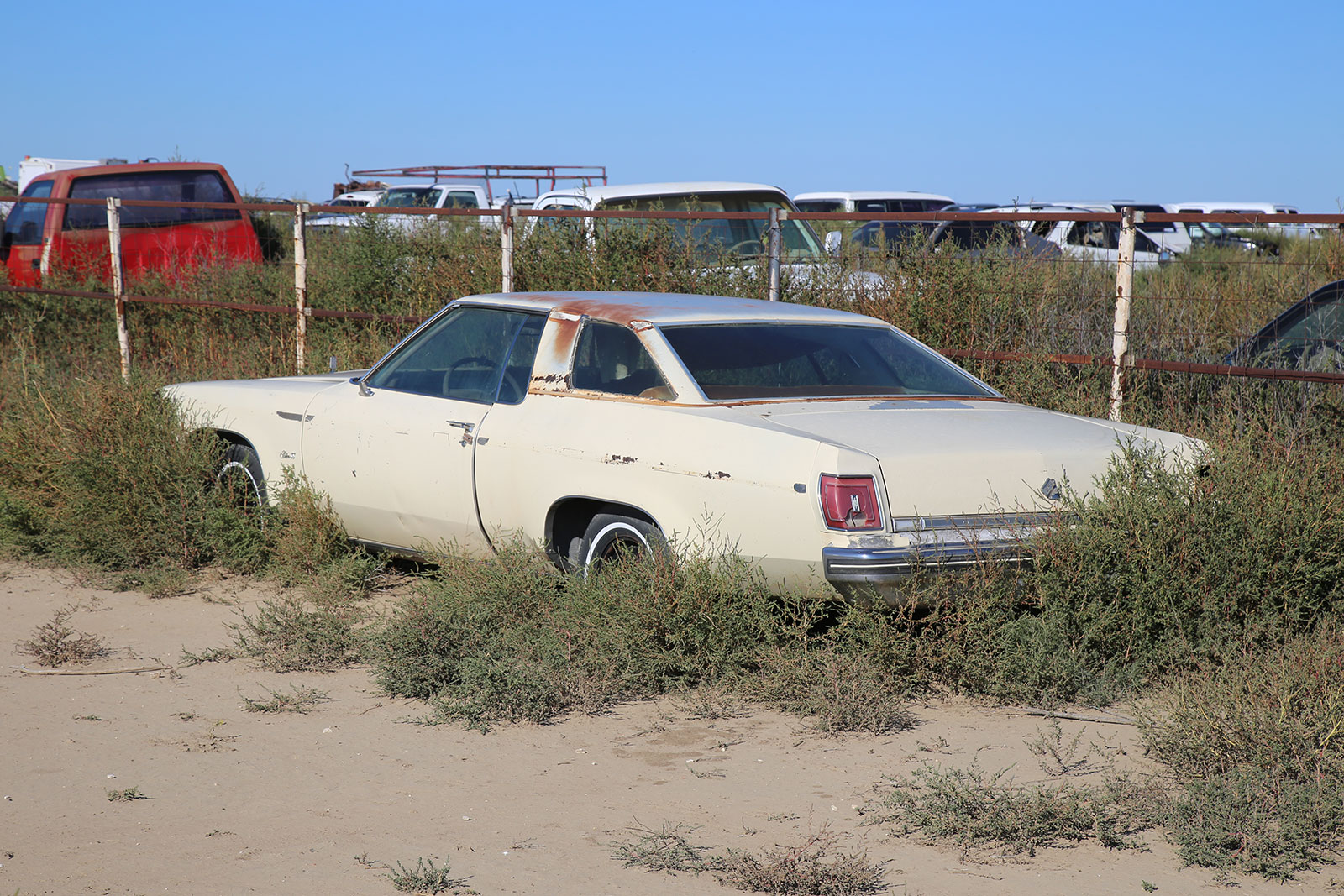 Junkyard gems 41 – Woller Auto Parts, Lamar, Colorado #2