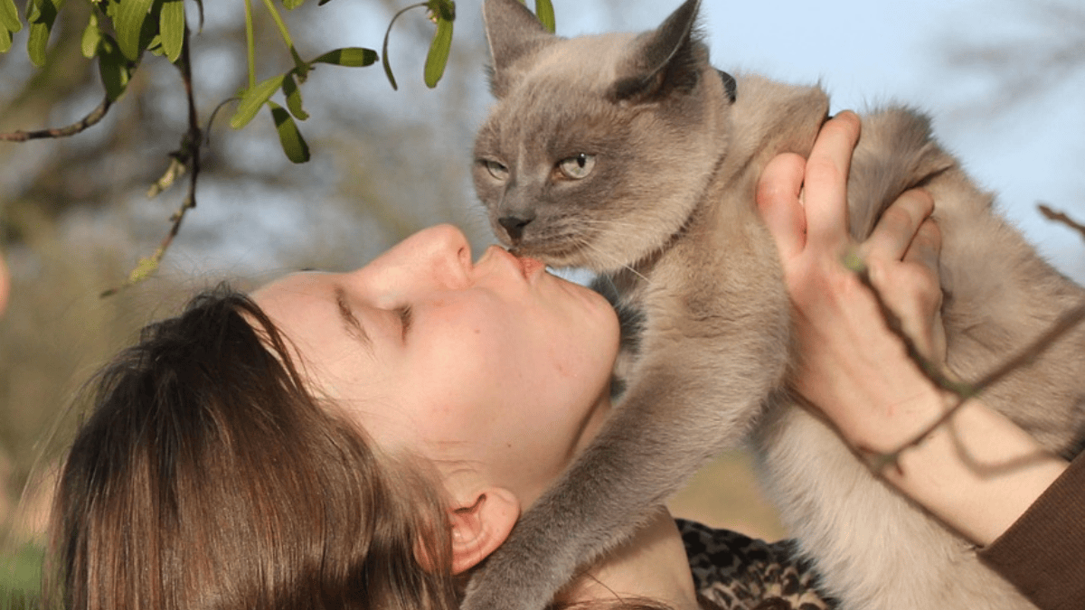I own a cat and this is what I've learned over time