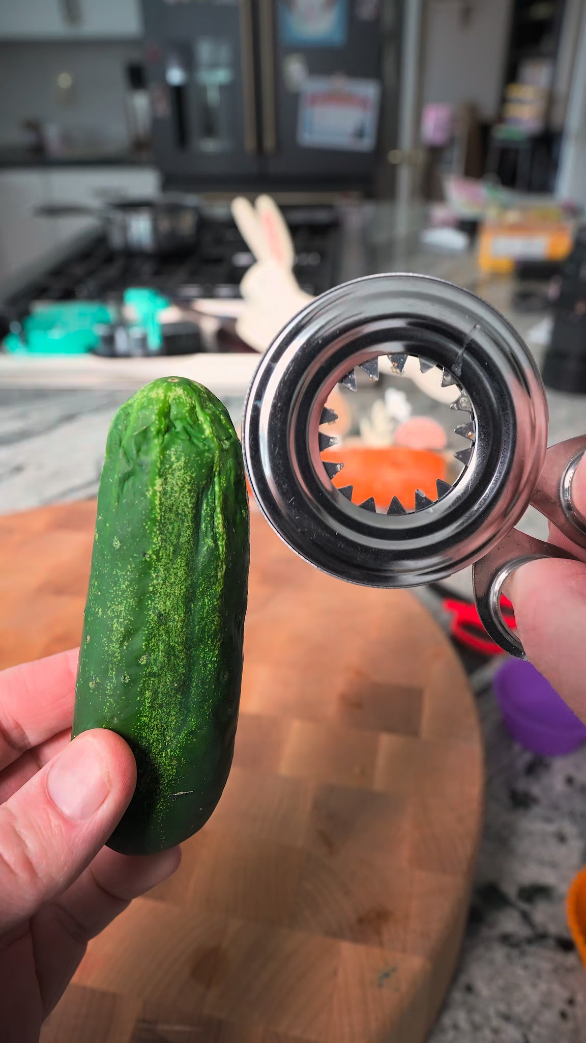 Cucumber vs egg cutter ASMR test