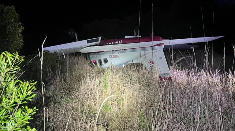 Pilot survives plane crash in Florida wildlife area