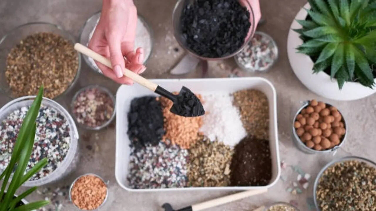 Best soil mix tips for healthy plant growth