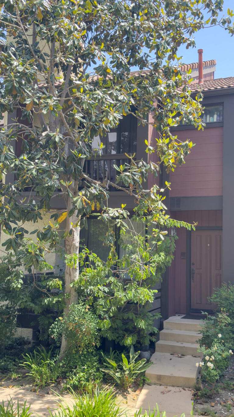 Neighbors blow the lid on Iranian arms dealer’s shady LA lair — and the ...