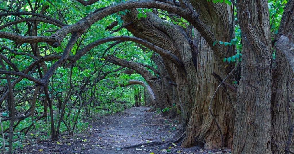 These Kansas hiking trails are worth every step