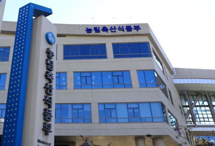 Five counties added to rural basic income pilot