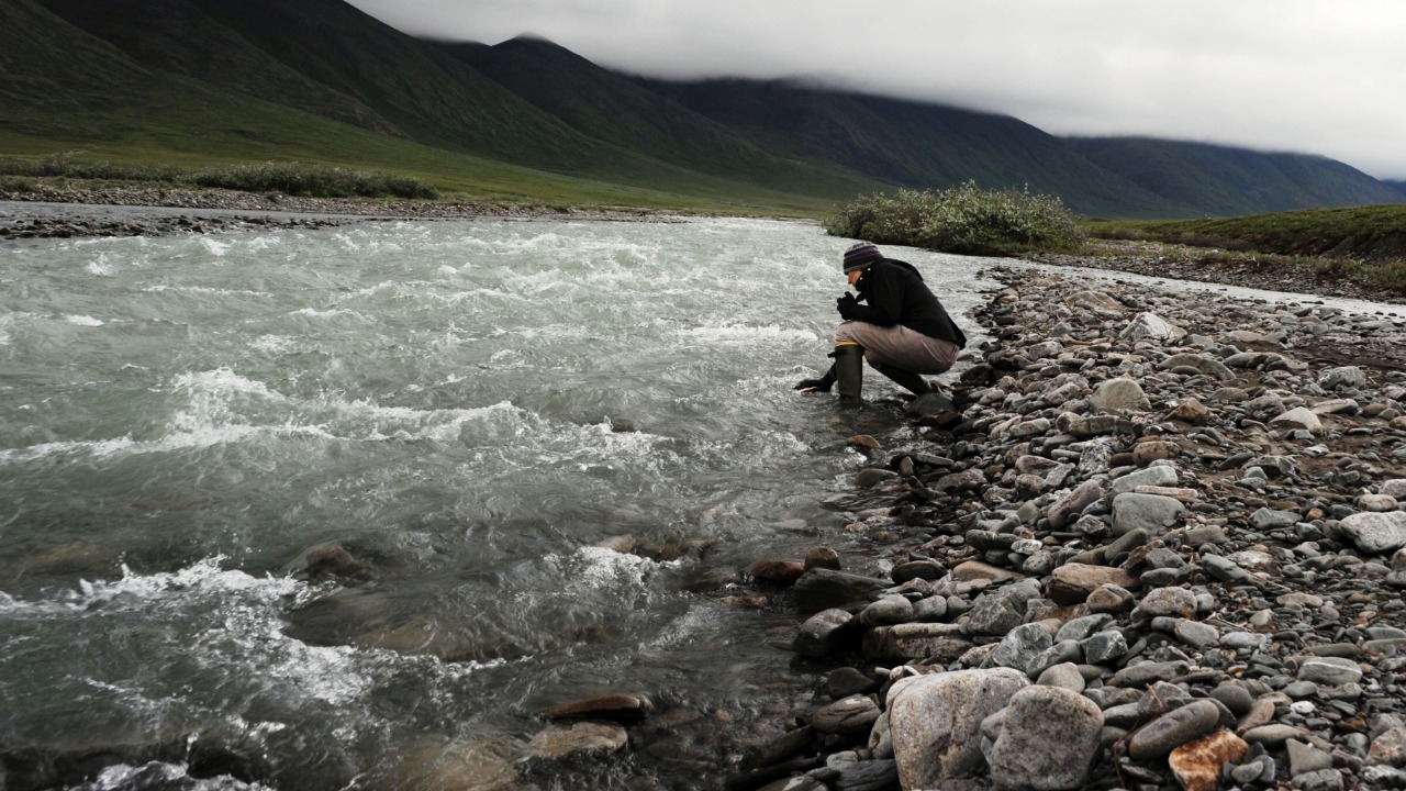 Warming streams may vent more CO2, weakening river food webs