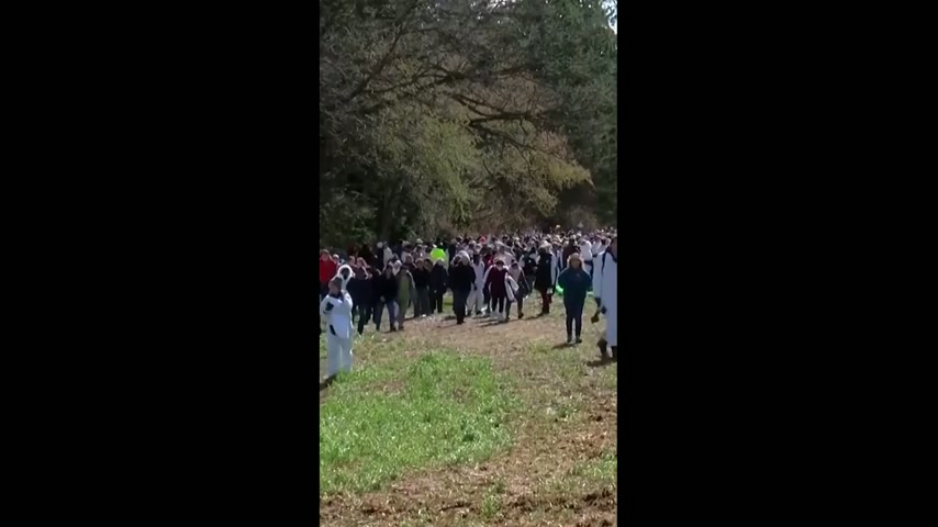 Animal rights protesters tear-gassed, arrested