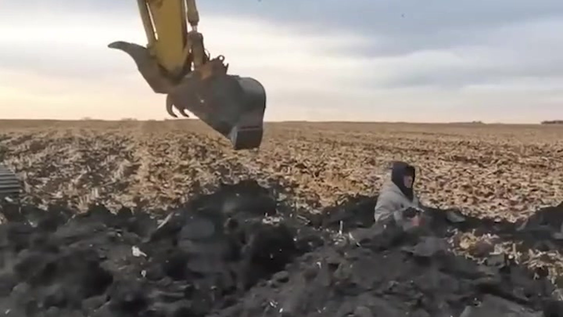Dealing with gopher damage on the farm