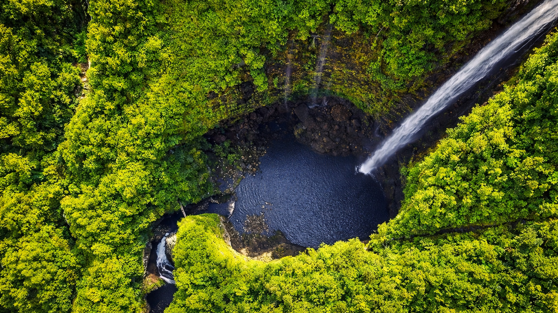 A hidden forest pool with crystal clear water