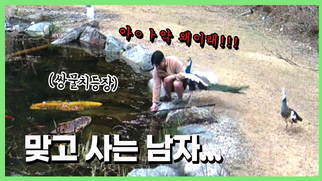 이러다 번식을 할지도 모르겠습니다