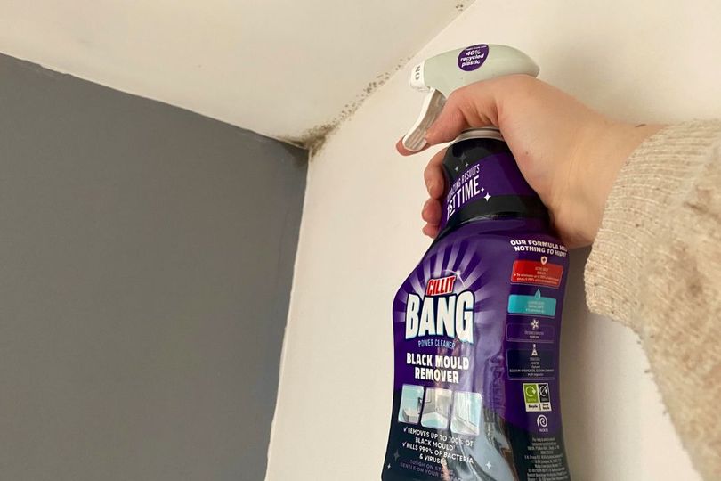 I got rid of mould with Cillit Bang and HG mould spray – but only one ...