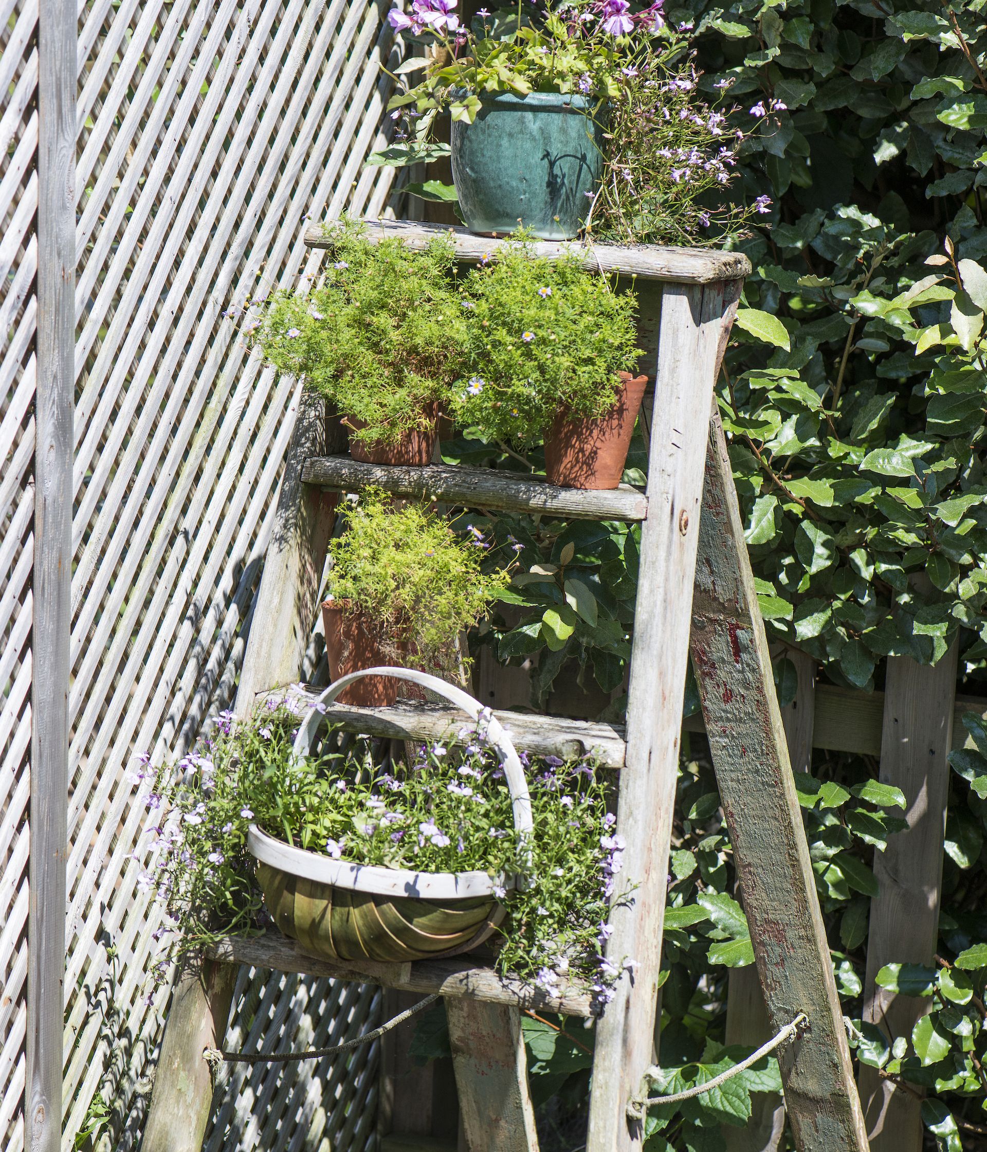 Small garden ideas to maximise your outdoor space with style