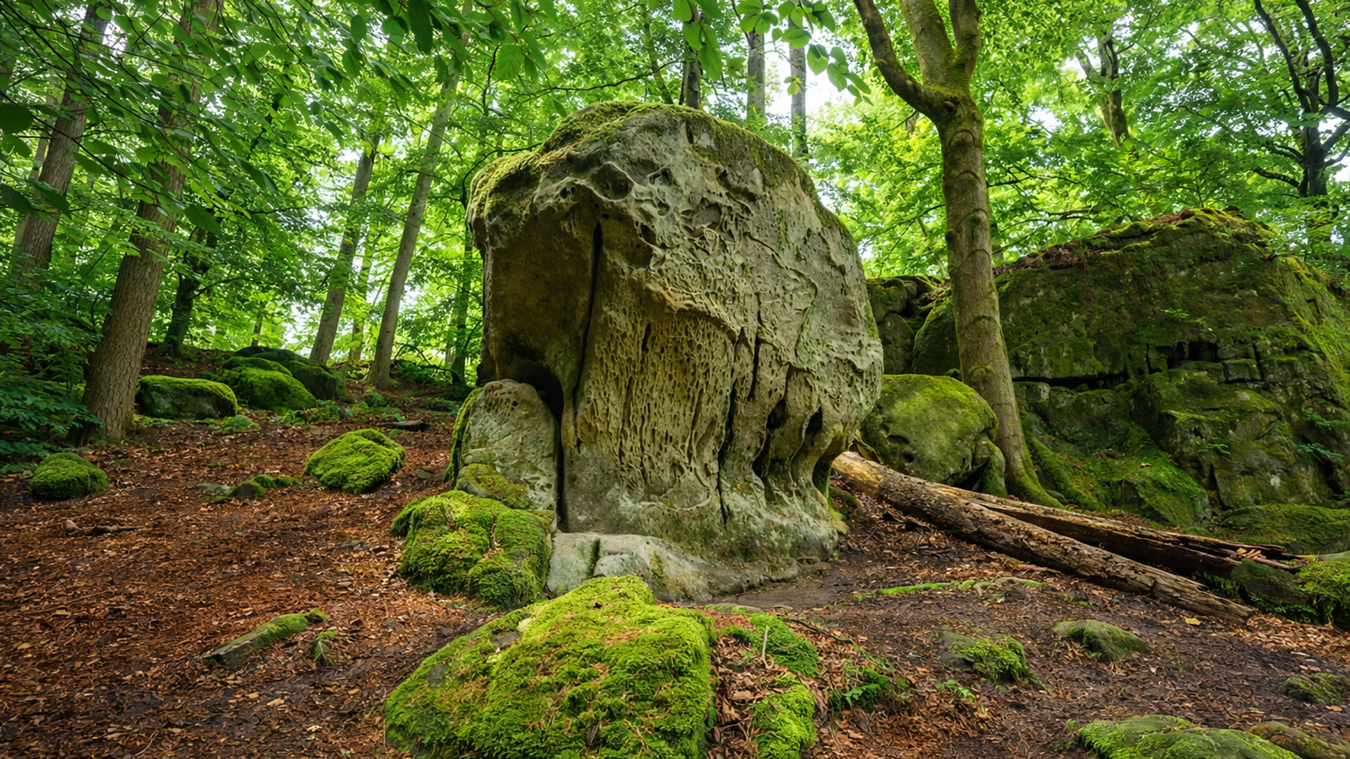 Теуфельсшлухт — самое необычное ущелье в Германии?