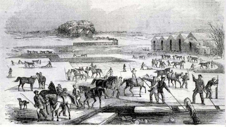 Why did India import ice from the US for four decades? The frozen ...