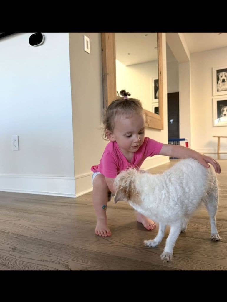 Kaley Cuoco fans rush to Big Bang star's side as she shares sad family ...