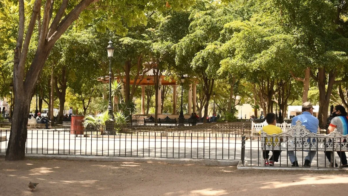 5 cosas que puedes hacer en Los Mochis un fin de semana sin gastar ...