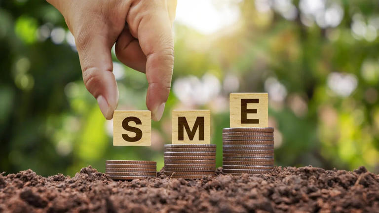 MSME activity expands but loses steam as global headwinds bite: PHDCCI ...