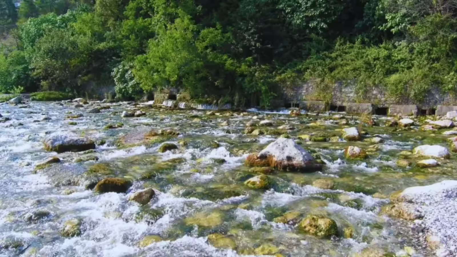 Which is the world’s shortest river?