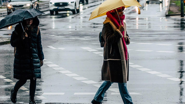 Fue la palabra del año en 2024 pero todos los españoles la seguimos ...