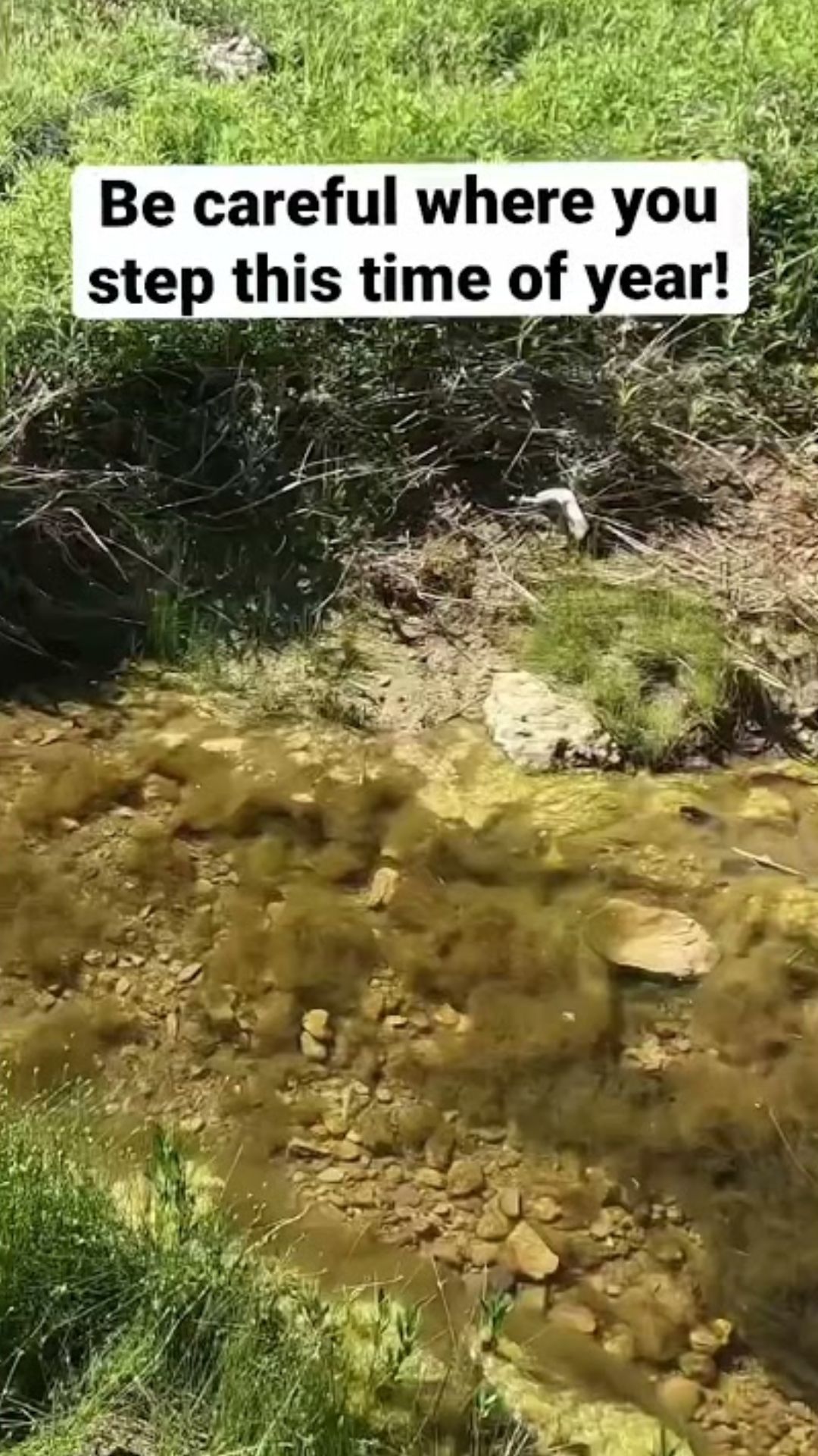 Watch your step while fishing in spring