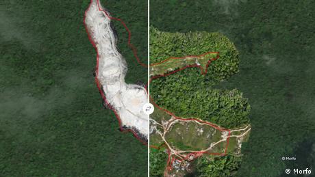 Using AI to plant trees