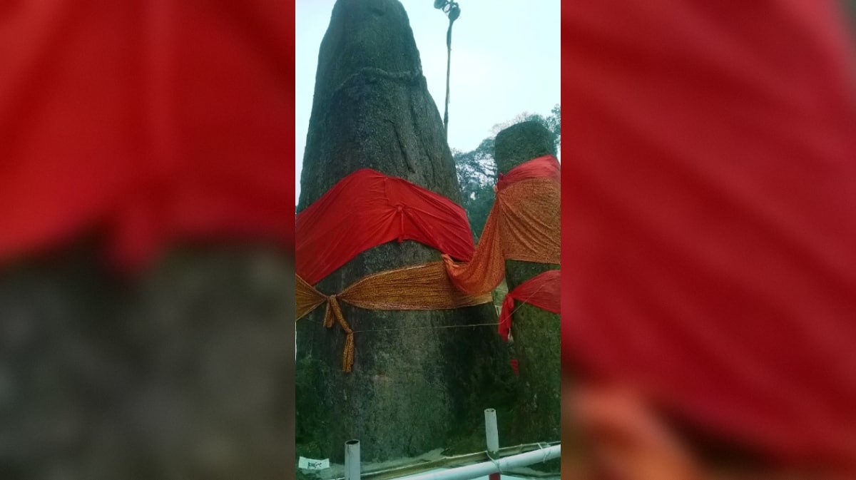 World's tallest naturally formed Shiva lingam: Around 25 feet tall and ...