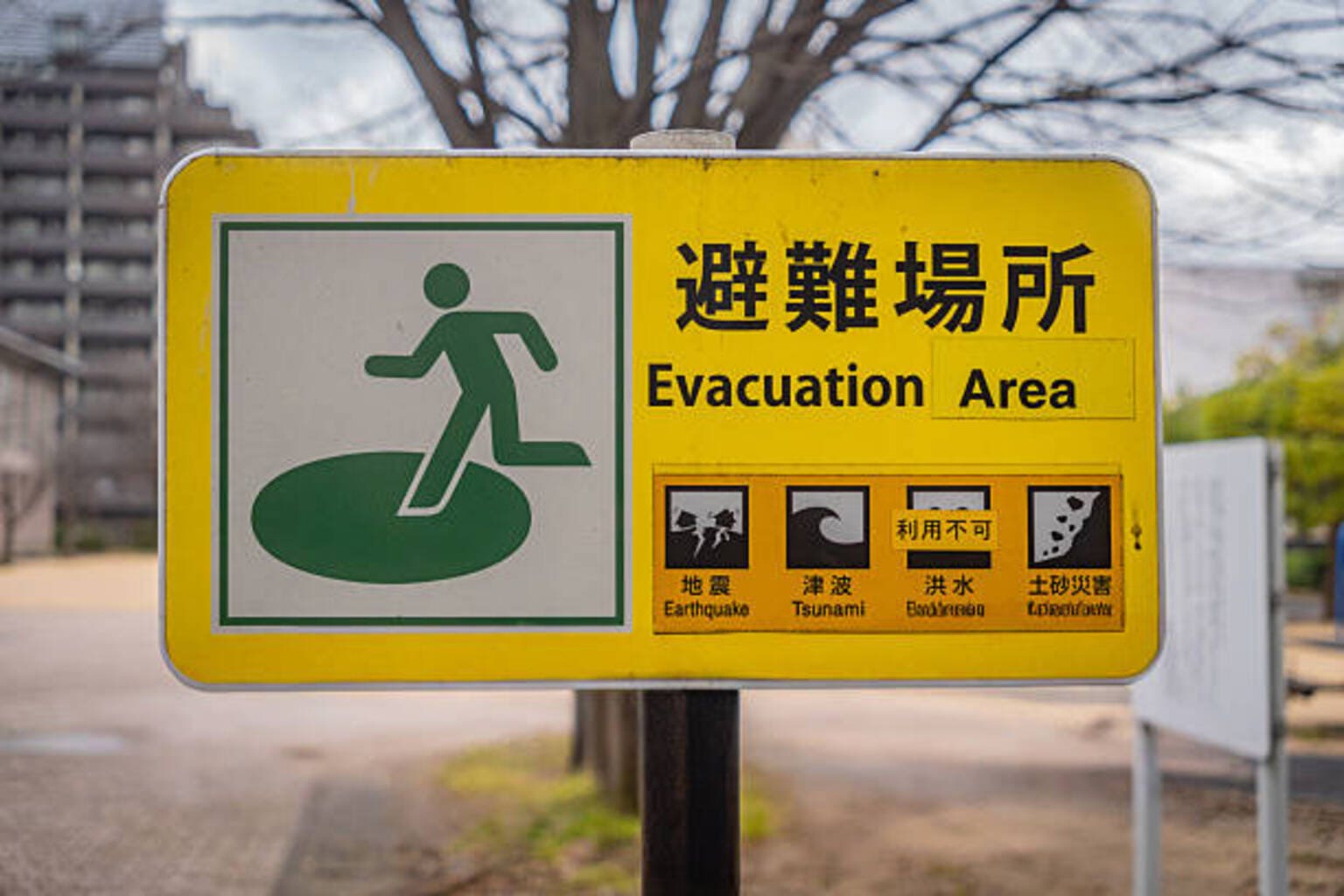 Japan issues tsunami warning after earthquake strikes off coast