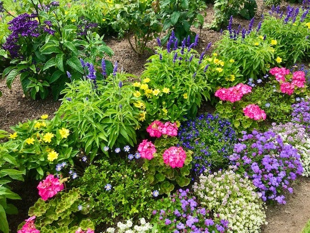 Stephenson County plant sale returns in Freeport