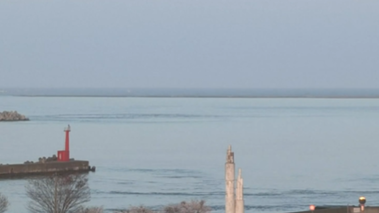 7.5 magnitude earthquake: Tsunami observed off Japan coast; bullet ...