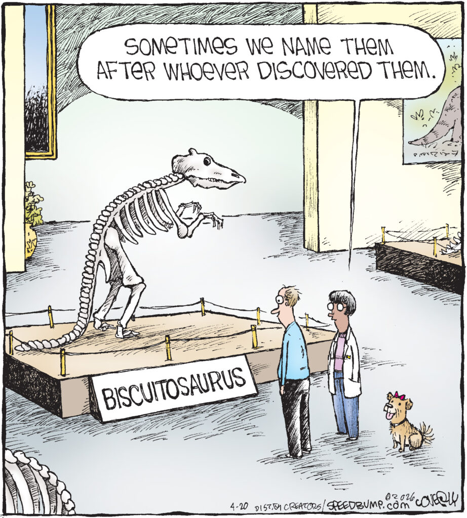 The best of 'Speed Bump' by Dave Coverly