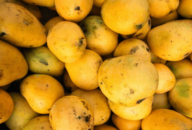 Mango for diabetes: Can you eat mangoes with diabetes? Learn health ...