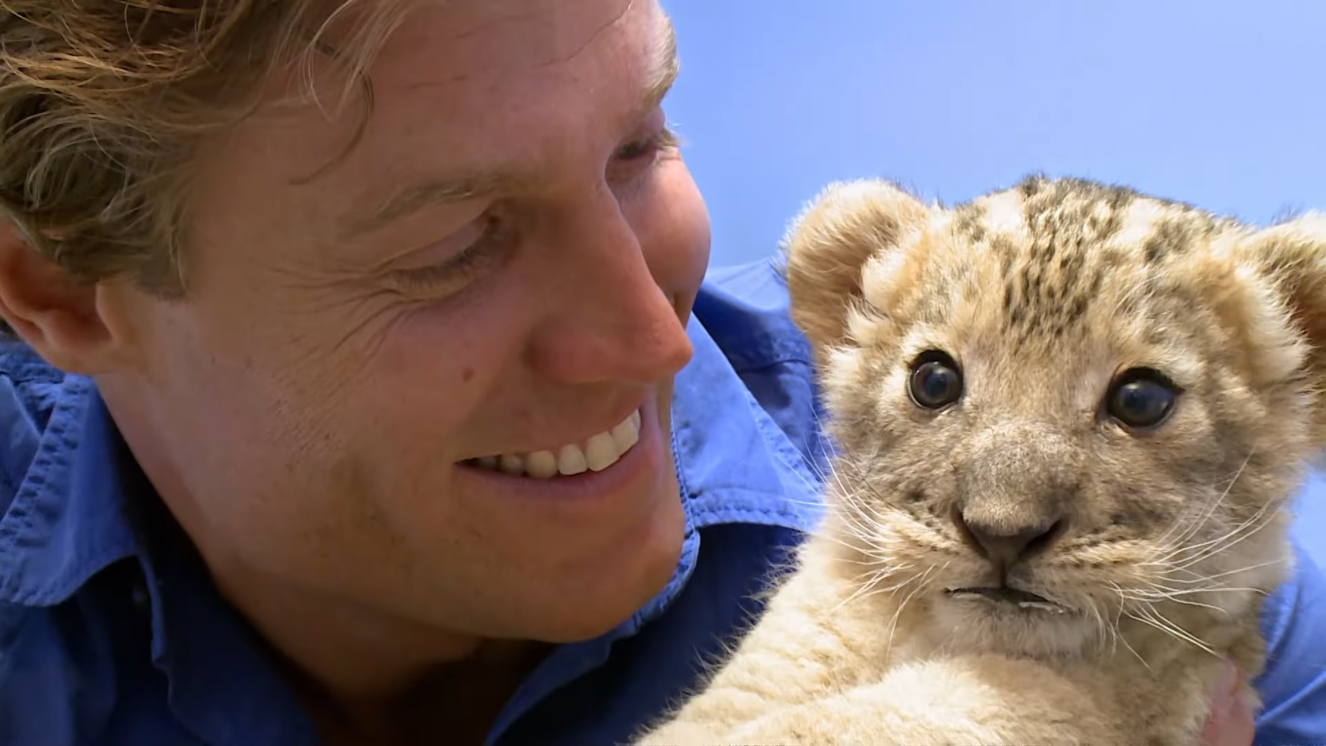 Abandoned lion cub was taken from her mother - until a dog became her ...