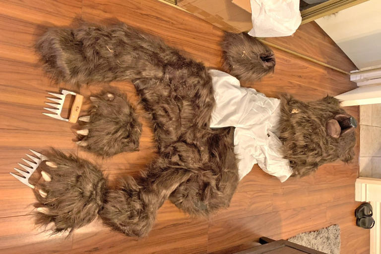 Auto insurance scam involved fake bear attacks