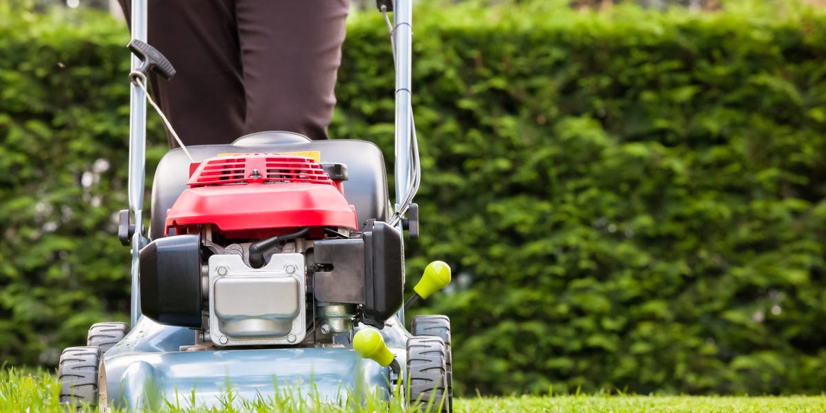 Lawn experts say the "1/3 rule" keeps your grass healthier and greener ...