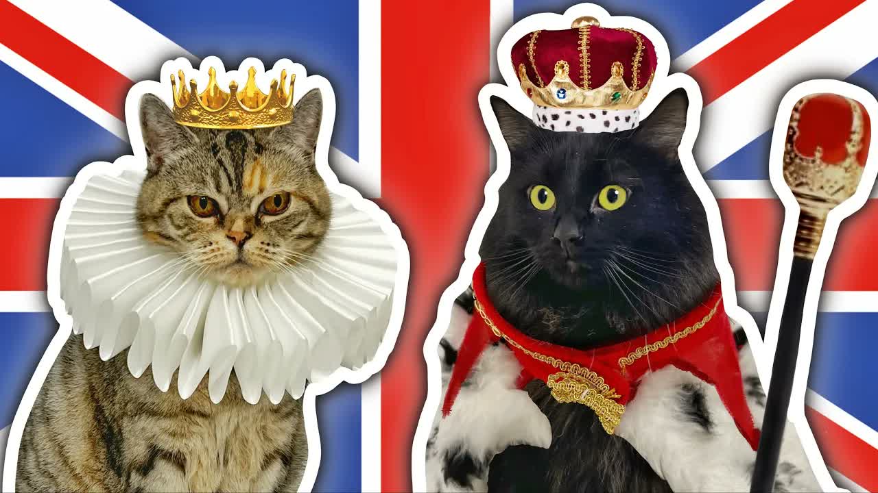I legally made my cats lord & lady!