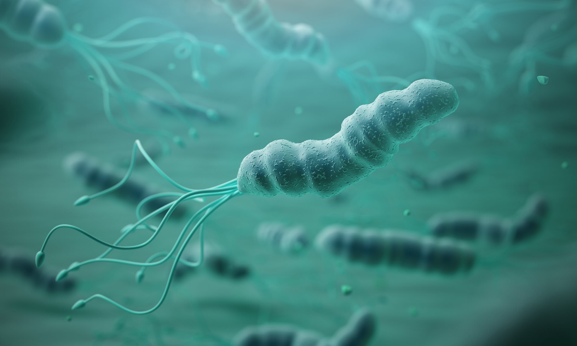 Home spit test could spot early signs of stomach cancer, claims new study