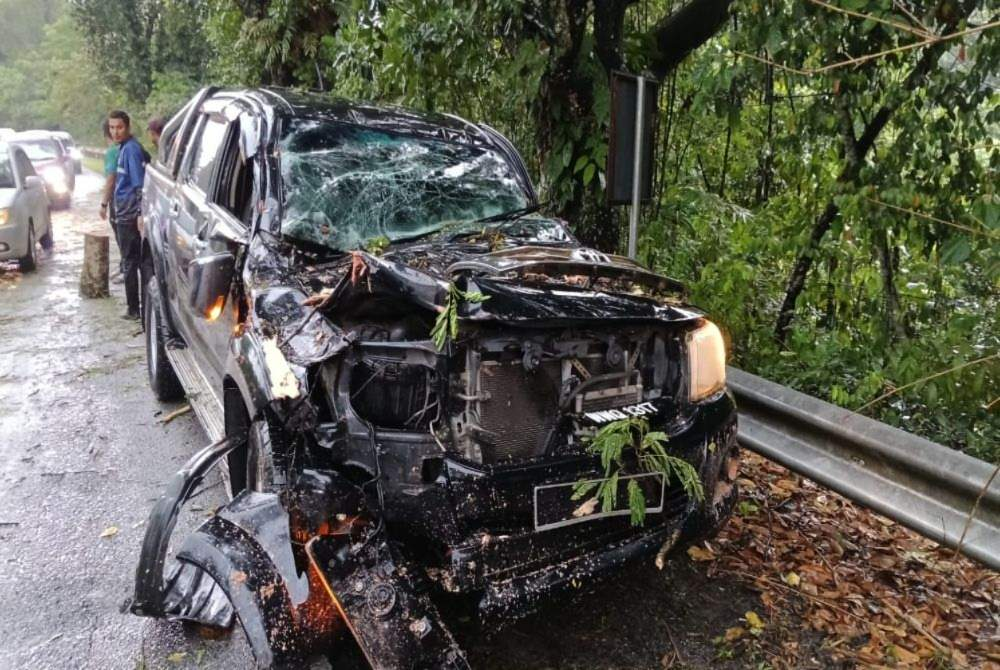 Fallen tree crushes vehicle near FRIM, driver escapes unhurt