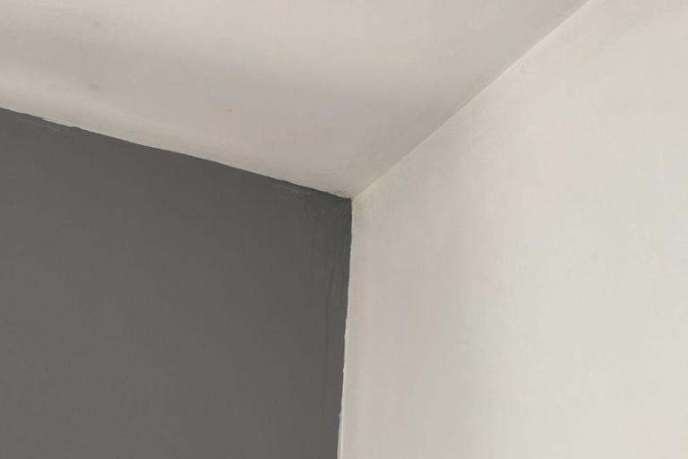 I cleaned mould with 2 supermarket sprays – the cheapest killed the ...