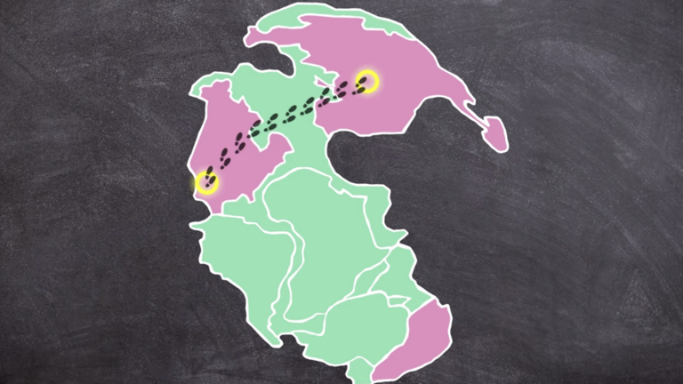 What if you lived 200 million years ago?