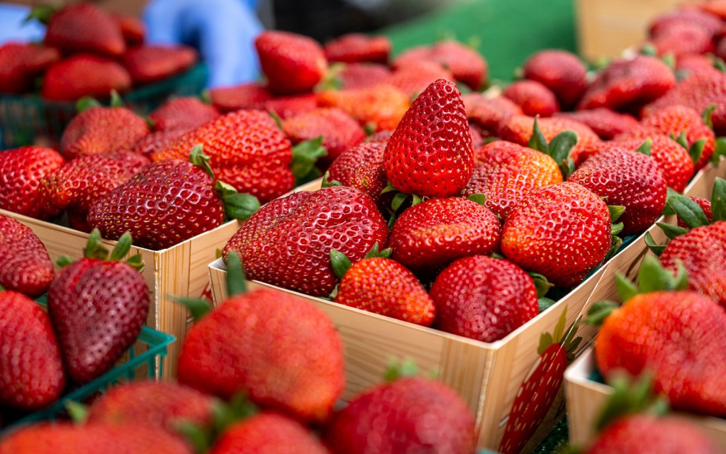 A first step to drought tolerant crops – Salk Institute charts course ...