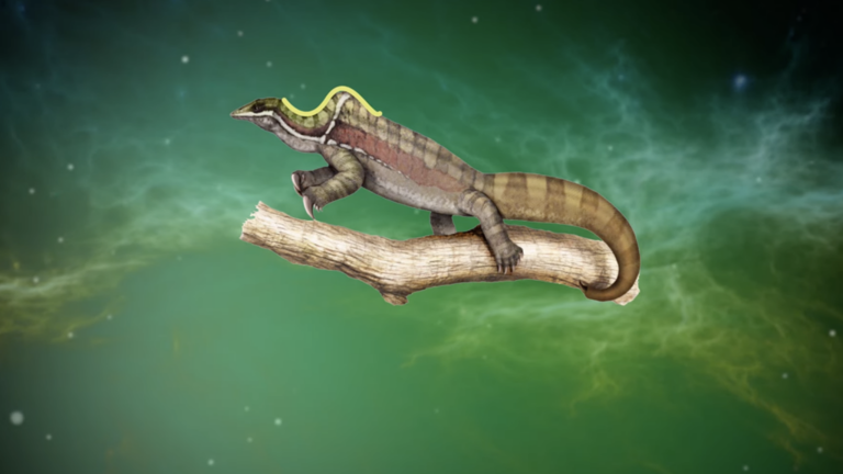 What if you lived 200 million years ago?