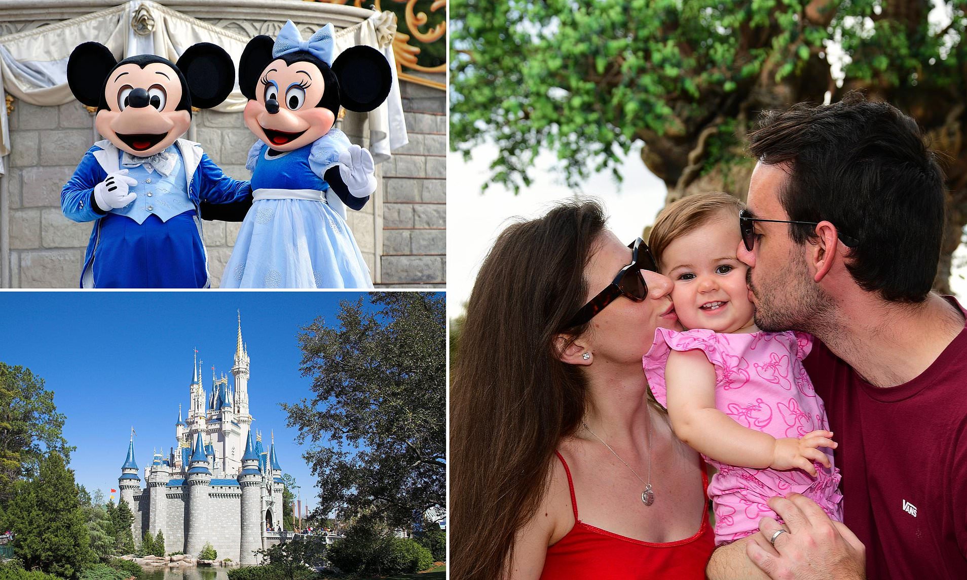 Disney one-day park tickets soar to staggering high and prices are only ...