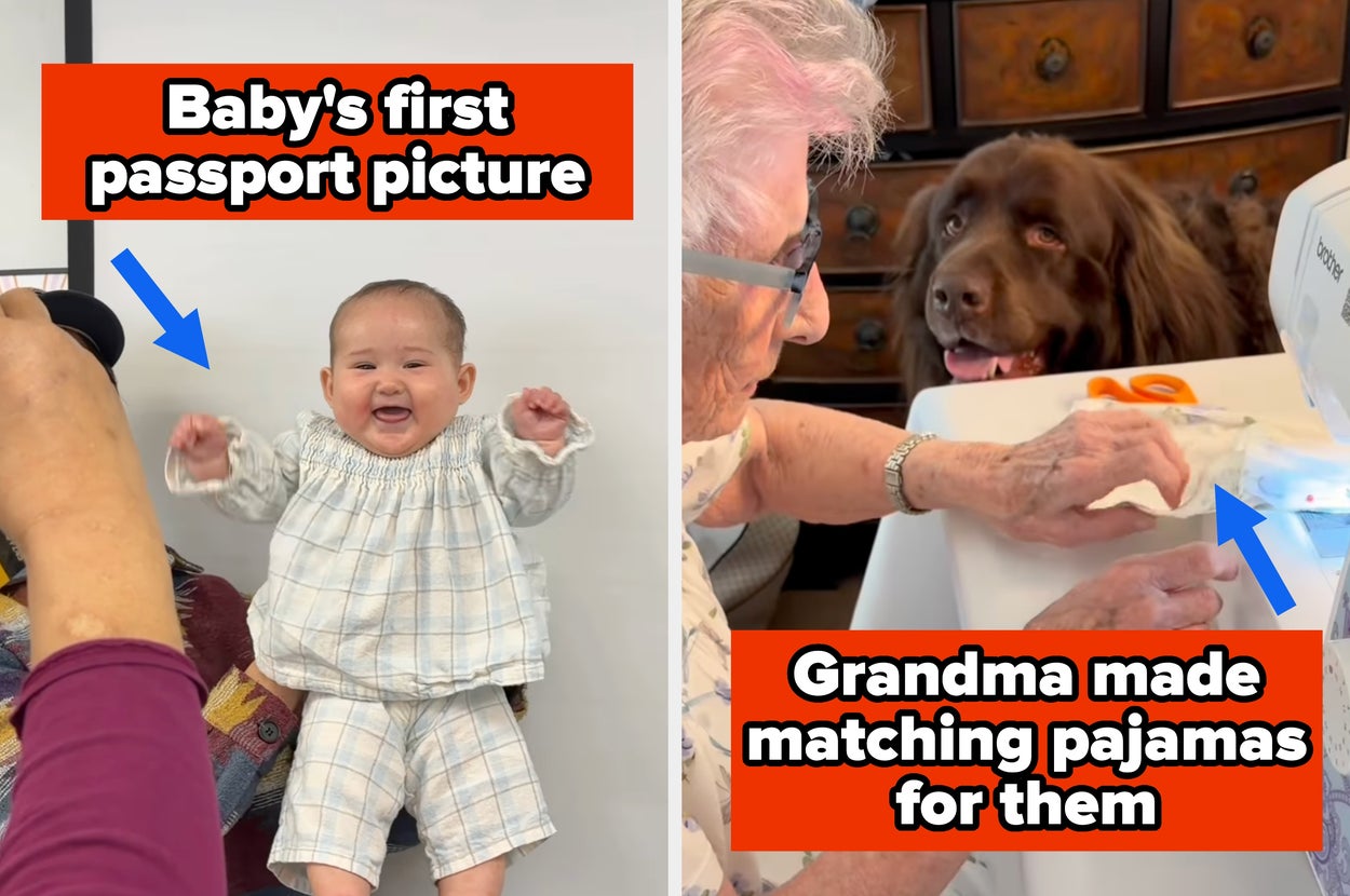 26 wholesome internet moments that are the perfect break from the ...