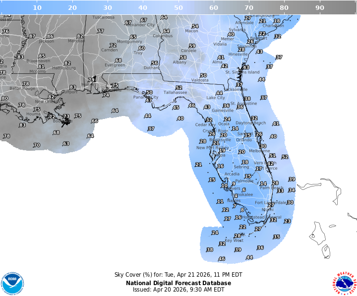 Lyrids meteor shower to hit 2026 peak. Where, how to watch in Florida