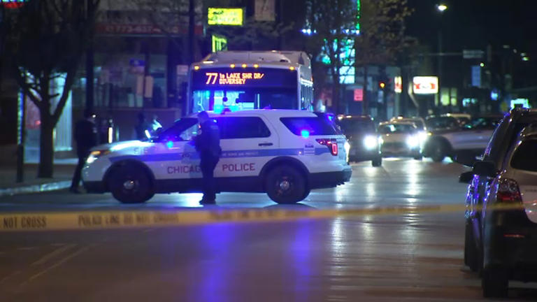65-year-old woman killed in Belmont Cragin hit-and-run crash ID'd ...