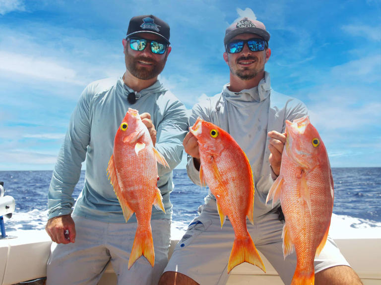 Deep-dropping tips to catch tasty fish