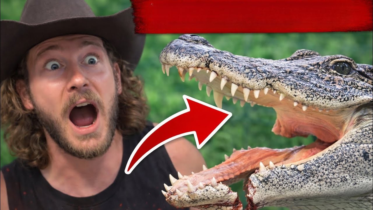 I can't believe this happened