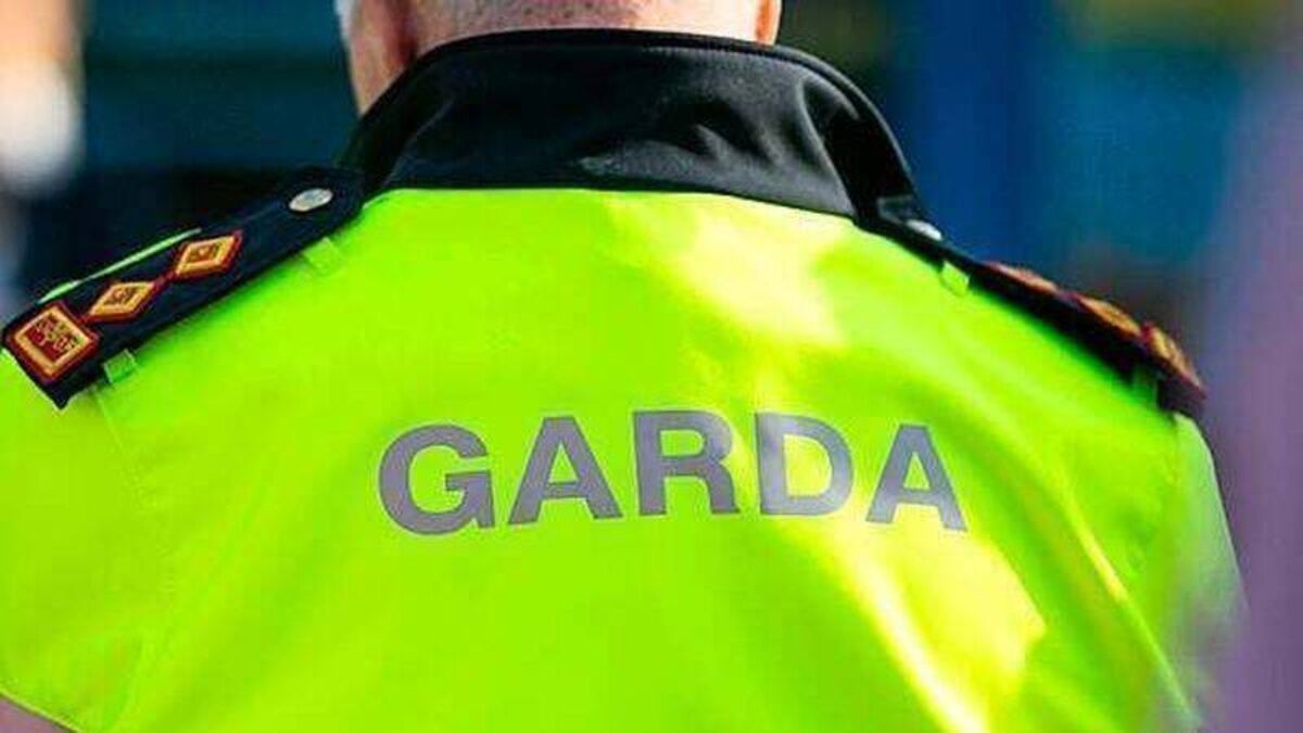 Investigations launched into 12 cases of garda domestic and sexual ...