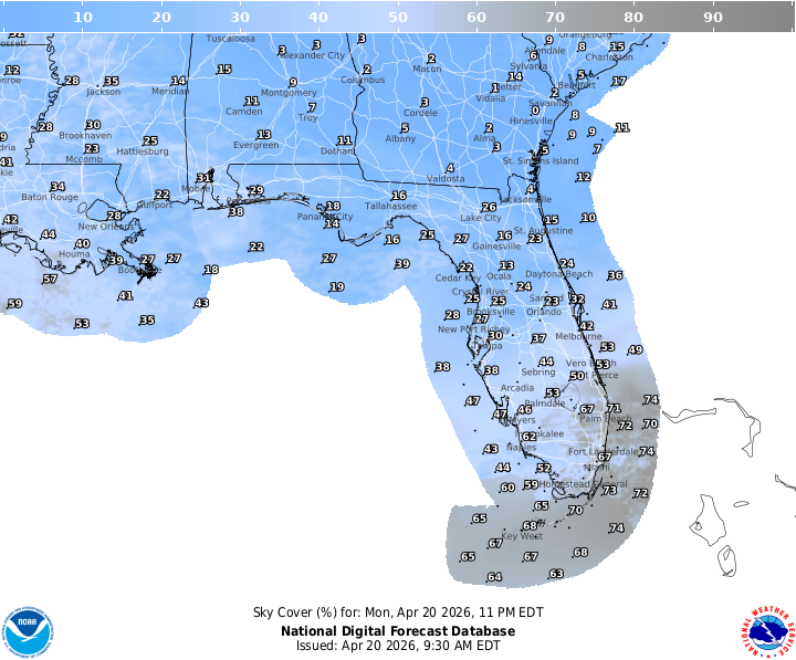 Lyrids meteor shower to hit 2026 peak. Where, how to watch in Florida