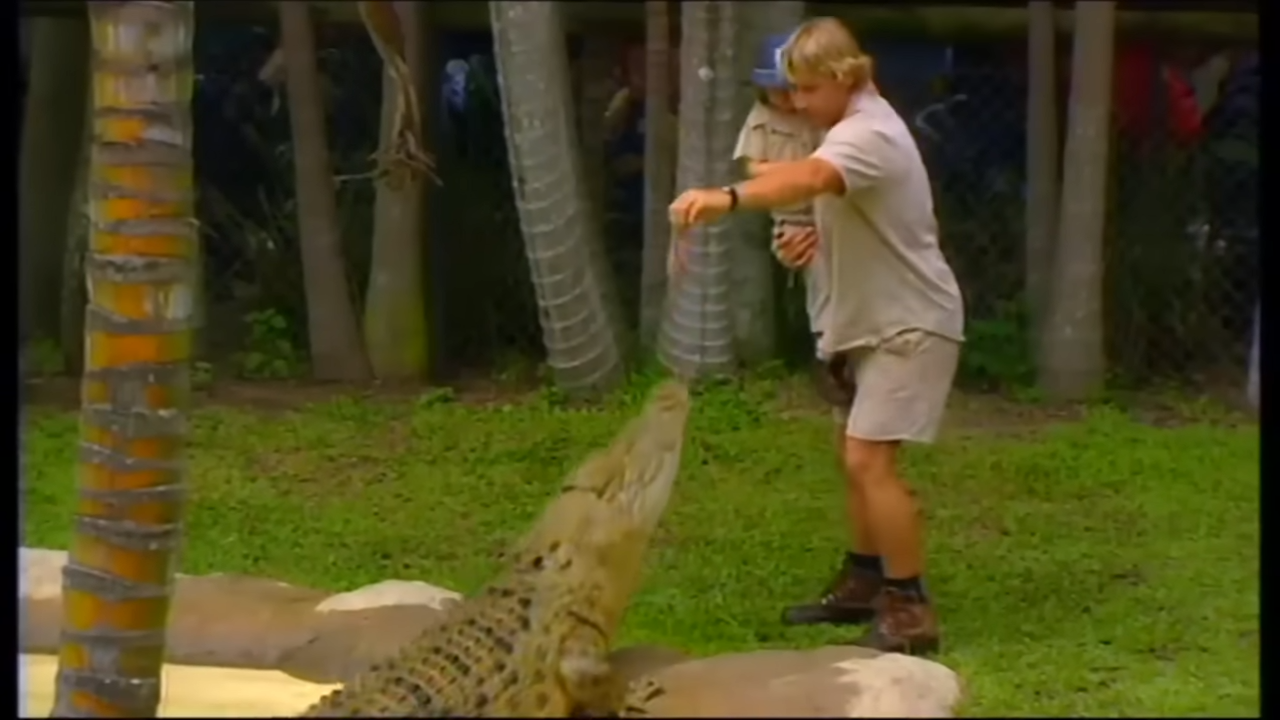 Stingray that ended Steve Irwin’s life